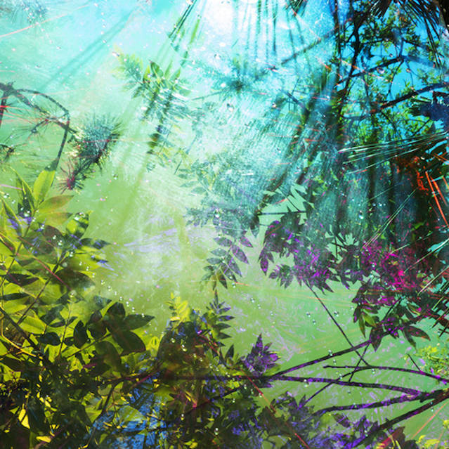 Distorted Artificial & Acid Nature – Fubiz Media