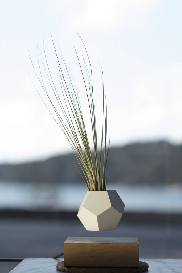 Stunning Flying Geometrical Planters – Fubiz Media