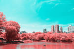 Pink Colored New York City – Fubiz Media