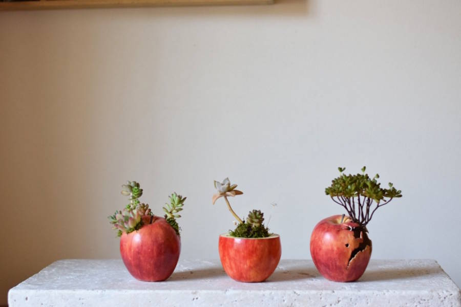 Cute Handmade Japanese Planters – Fubiz Media