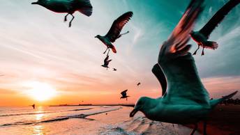 Amazing Landscape Photography by Ryan Longnecker – Fubiz Media