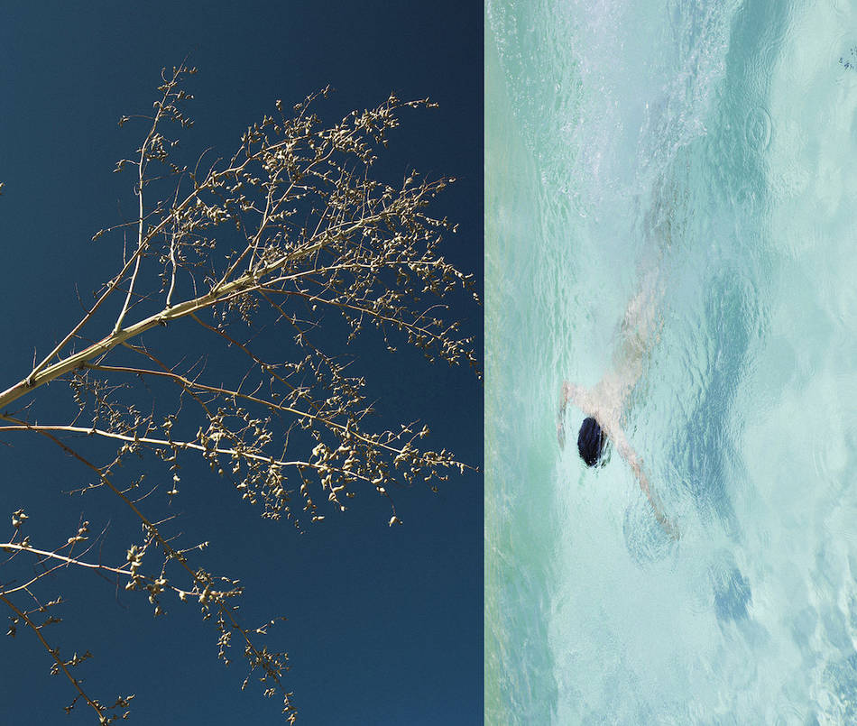Poolside Dreaming by Emma Hartvig – Fubiz Media