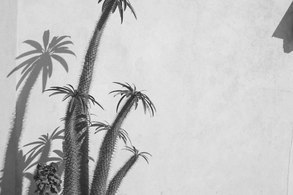 Poolside Dreaming by Emma Hartvig – Fubiz Media