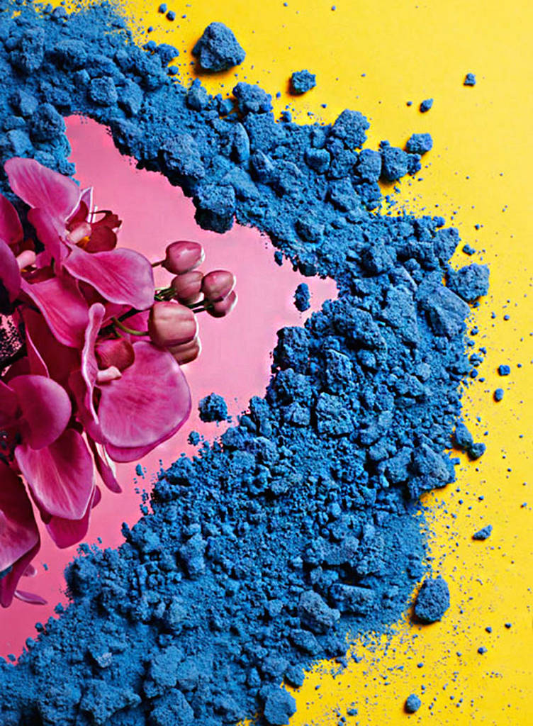 Colorful Set Design made of Powder and Flowers – Fubiz Media