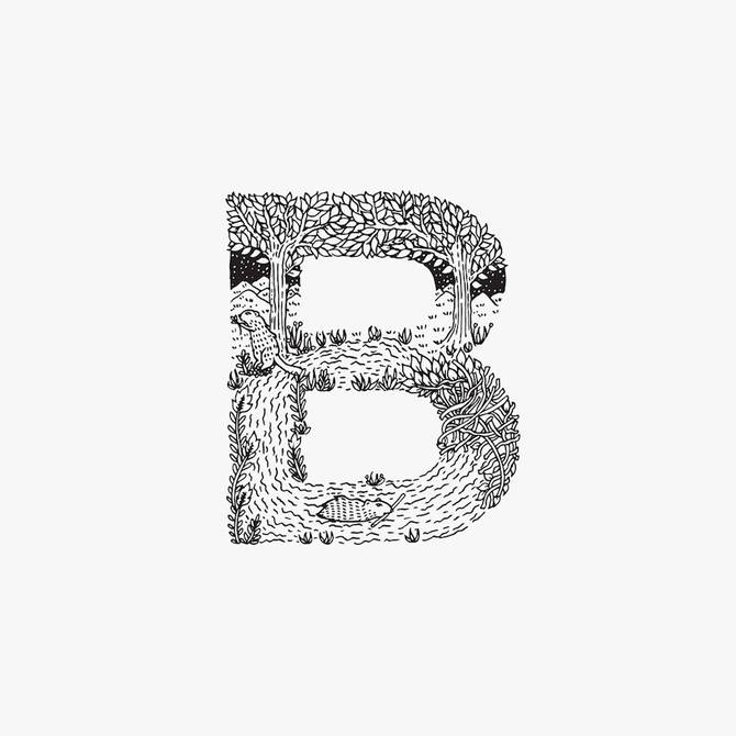 Creative Black and White Animal Alphabet – Fubiz Media