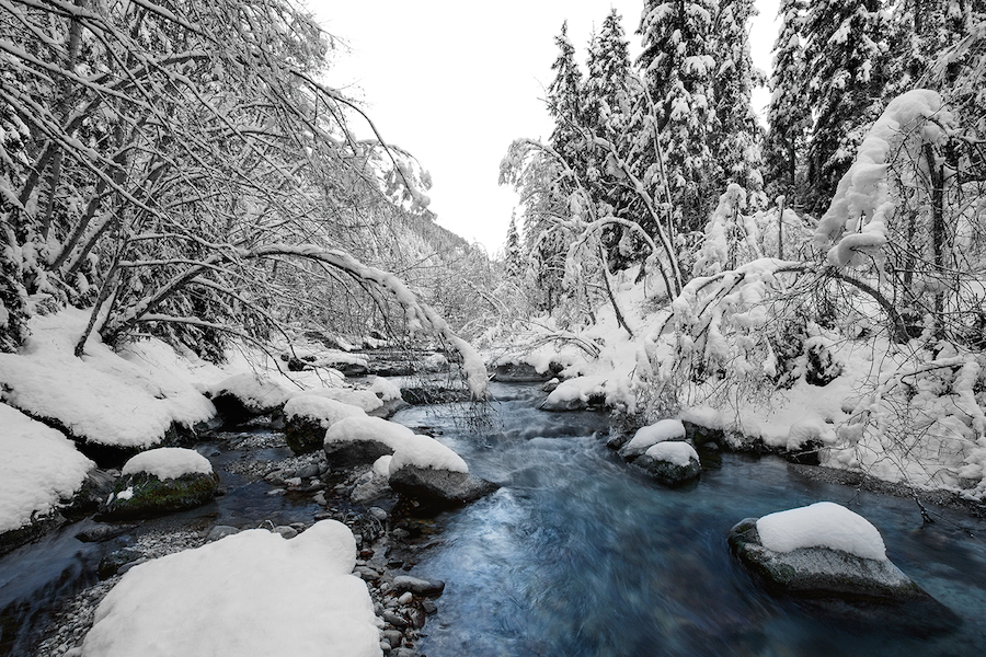 Intense Photography Focusing on the Beauty of Nature-11 – Fubiz Media