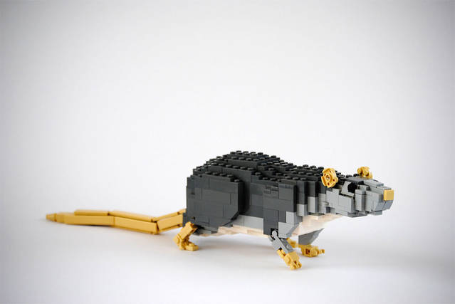 Perfect LEGO Wild Animals – Fubiz Media