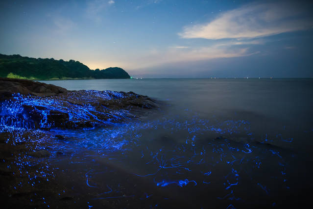 Poetic Pictures of Blue Light in Japan – Fubiz Media
