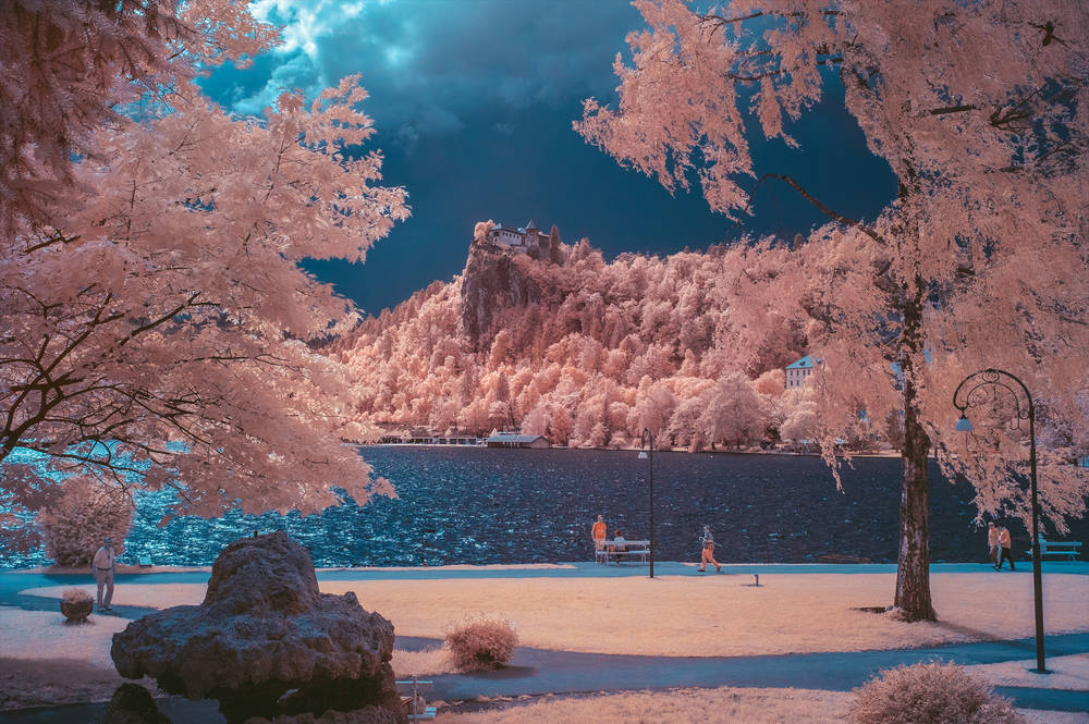 Infrared Nature Photography – Fubiz Media