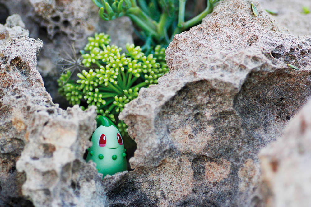 Inventive Pokémon Photographs in Natural Environment – Fubiz Media