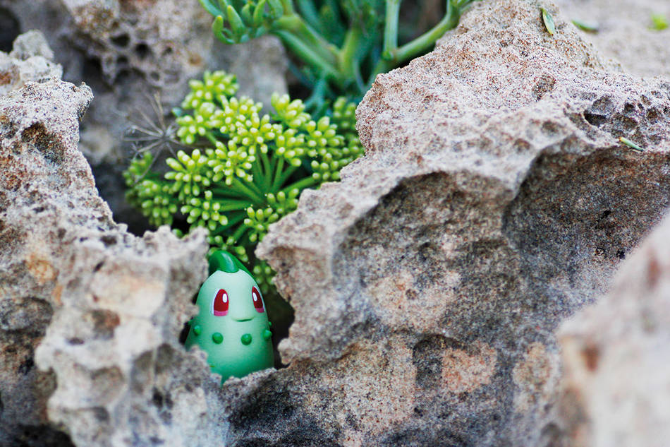Inventive Pokémon Photographs in Natural Environment – Fubiz Media
