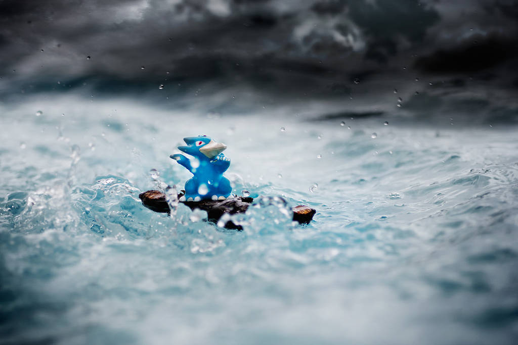 Inventive Pokémon Photographs in Natural Environment – Fubiz Media