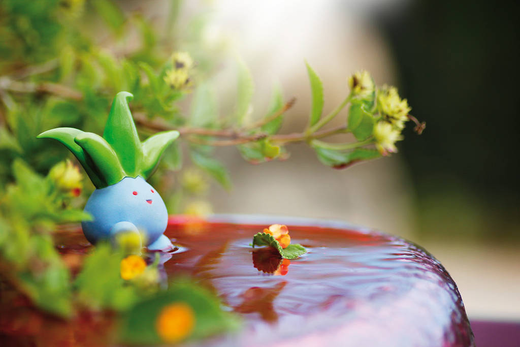 Inventive Pokémon Photographs in Natural Environment – Fubiz Media