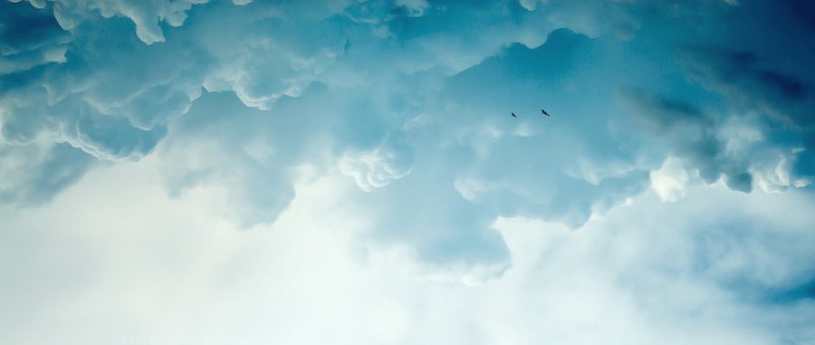 Immersive Daily Life Photography in Hong Kong-20 – Fubiz Media