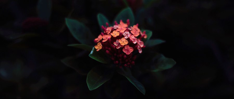 Immersive Daily Life Photography in Hong Kong-20 – Fubiz Media