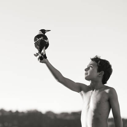 Nice Pictures of a Boy with a Tamed Magpie – Fubiz Media