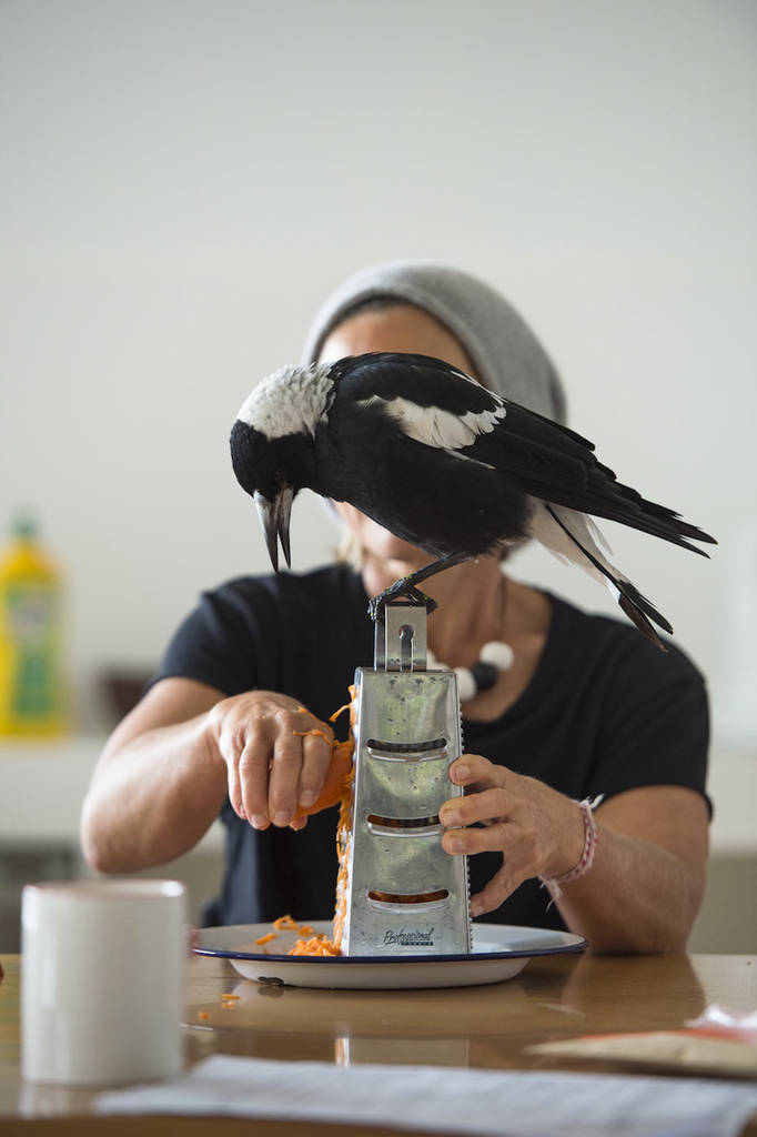 Nice Pictures of a Boy with a Tamed Magpie – Fubiz Media