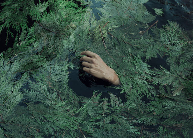 Kyle Thompson’s Poetic and Troubling Photos – Fubiz Media