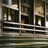 Superb Travel Book by Mendo – Fubiz Media