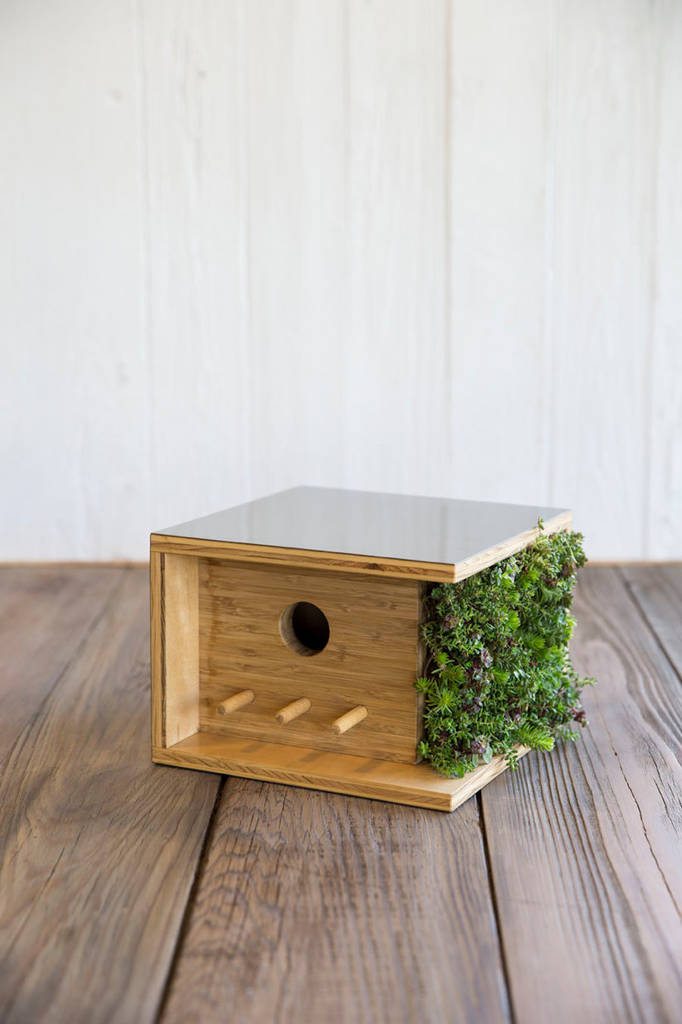 Beautiful Architectural Bird Houses – Fubiz Media