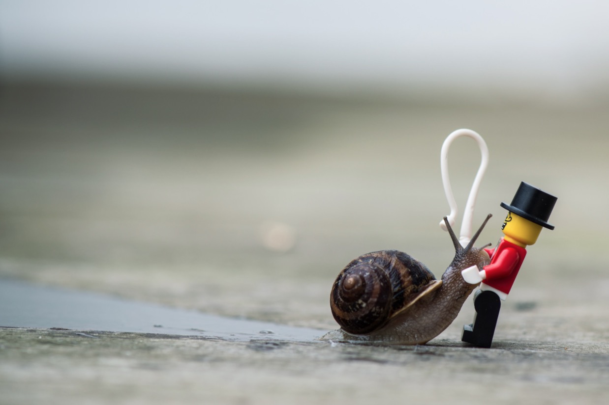 New Legography by Samsofy – Fubiz Media