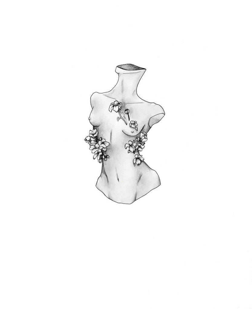 Delicate Drawing Compositions with Flowers – Fubiz Media