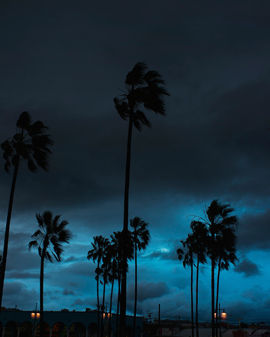 Photo Series Of Daily Life In Venice California 23 Fubiz Media Photo Series Of Daily Life In Venice California 23 Fubiz Media
