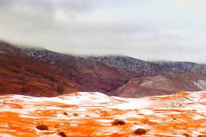 Sahara Desert Covered with Snow For the First Time Since 1979 – Fubiz Media