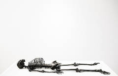 Vibrating Self-Drawing Graphite Skeleton – Fubiz Media