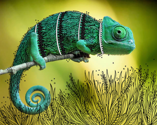 Wild Animals with Funny Drawings of Costumes – Fubiz Media