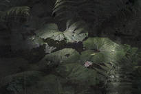 Beautiful Project of Imprinted Landscapes in the Middle of Nature ...