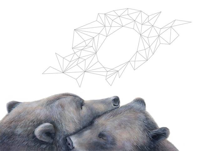 Artistic Drawings of Animals Combined with Geometric Forms – Fubiz Media