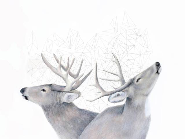 Artistic Drawings of Animals Combined with Geometric Forms – Fubiz Media