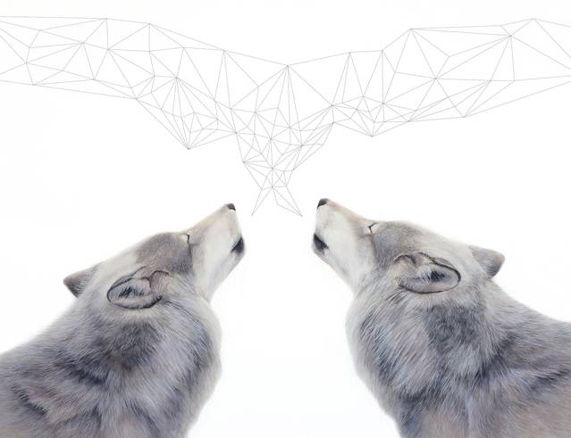 Artistic Drawings of Animals Combined with Geometric Forms – Fubiz Media