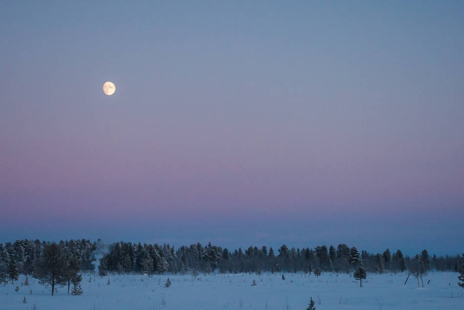 Captivating Pictures from Finnish Winter – Fubiz Media