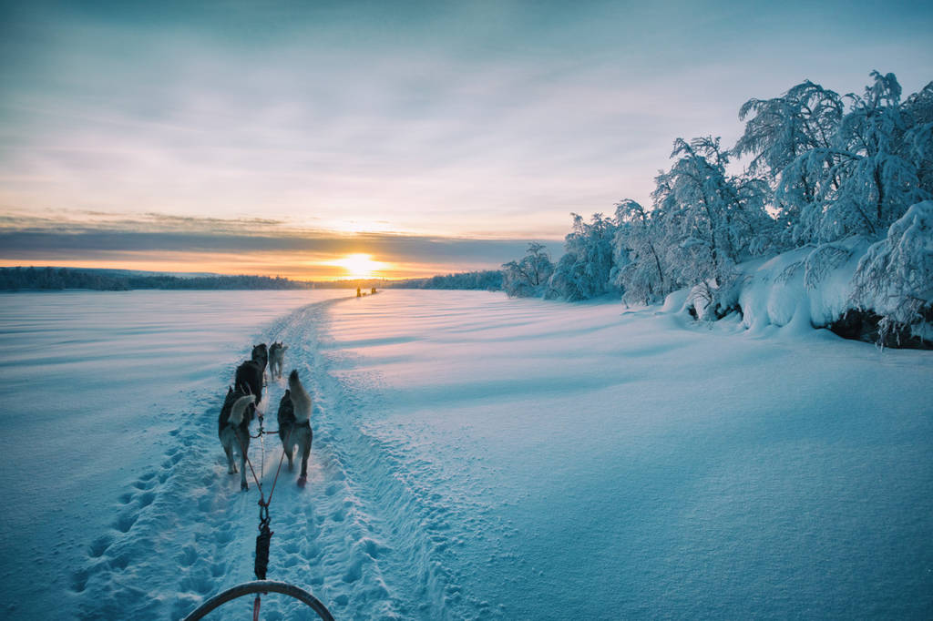 Captivating Pictures from Finnish Winter – Fubiz Media