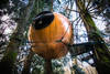 Gorgeous Spherical Tree-House Hotel in Canada – Fubiz Media
