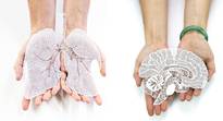 Incredibly Accurate Papercuts of Organs – Fubiz Media