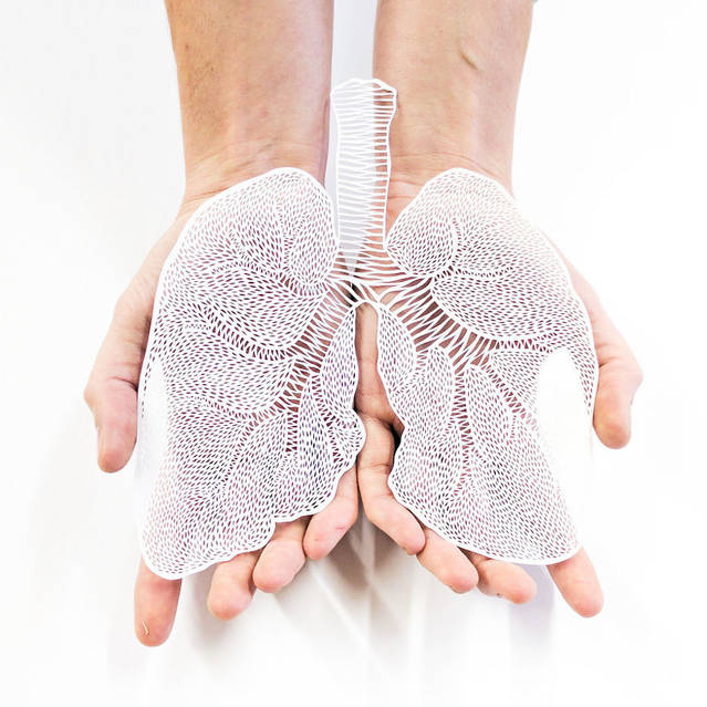 Incredibly Accurate Papercuts of Organs – Fubiz Media