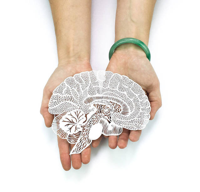 Incredibly Accurate Papercuts of Organs – Fubiz Media