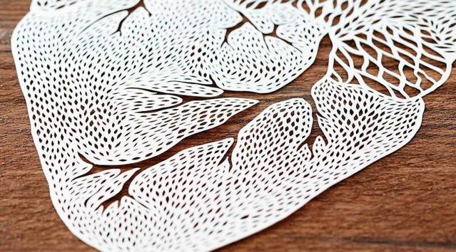 Incredibly Accurate Papercuts of Organs – Fubiz Media