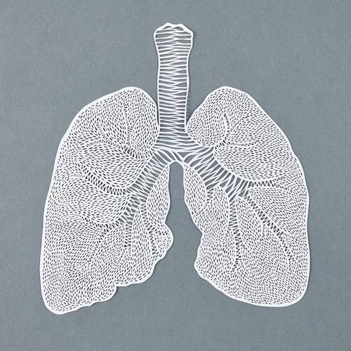 Incredibly Accurate Papercuts of Organs – Fubiz Media