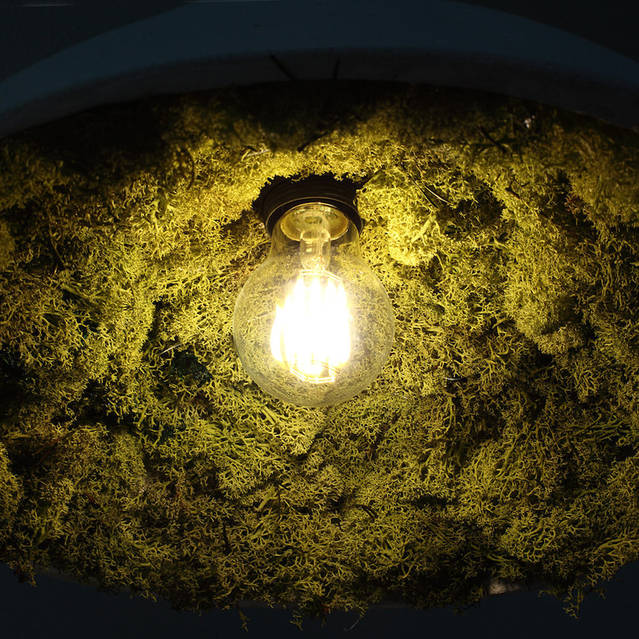 Stylish Clock and Ceiling Lights Covered with Icelandic Moss – Fubiz Media