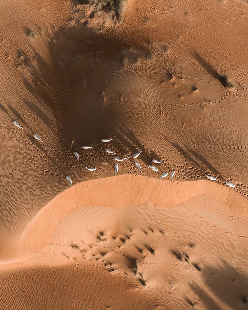 Elevated Perspective of Deserts and Coastlines – Fubiz Media