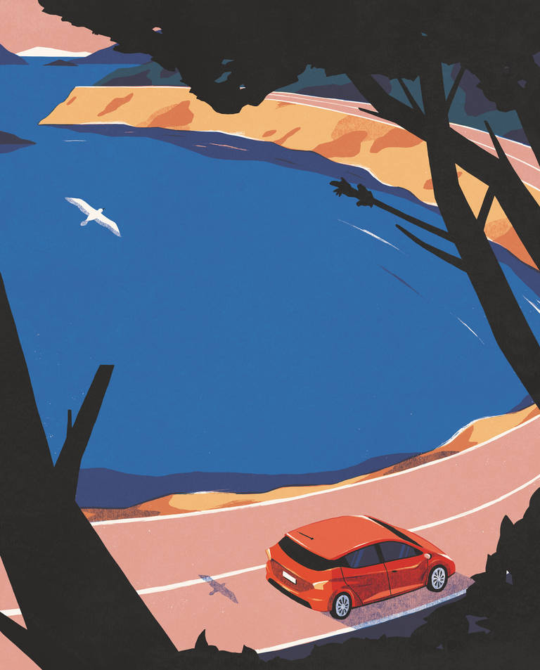 Colorful Illustrations by David Doran – Fubiz Media