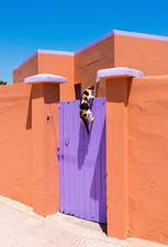 Colorful Photograph by Will Sanders – Fubiz Media