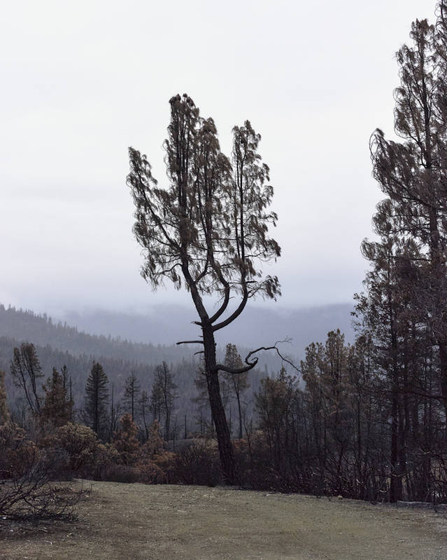 Stunning Photographs of Drought by Andrew Williams – Fubiz Media
