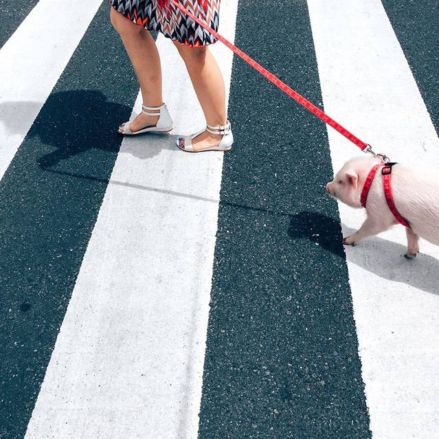 Winners of 2016 Mobile Photography Awards – Fubiz Media