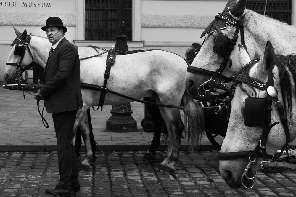 Skander Khlif a Series of Photographs in Vienna – Fubiz Media