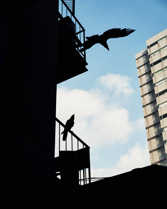 Beautiful Everyday Life Picture by Thomas Prior – Fubiz Media